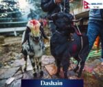 Dashain Festival: Nepal's Greatest 10-day's Festival with Delightful ...