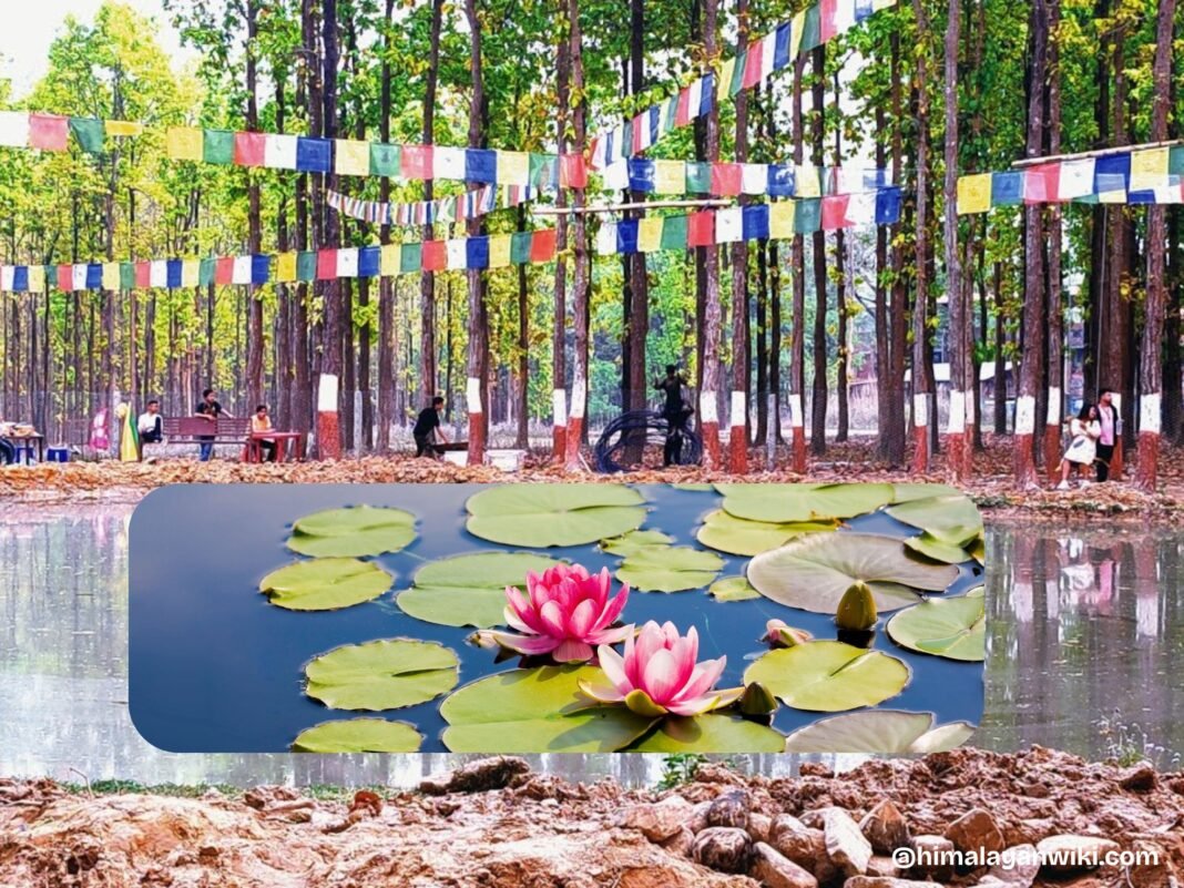 Butwal | 10+ Beautiful Tourist Destinations - Himalayan Wiki
